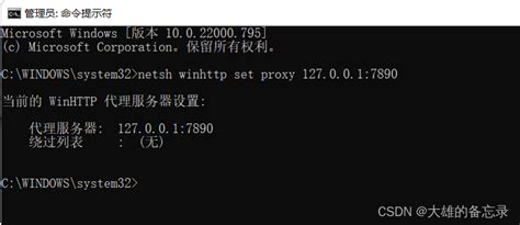 Windows如何在cmd或powershell中配置代理，报错及解决方法写入代理服务器设置时出错。5 拒绝访问。 Csdn博客