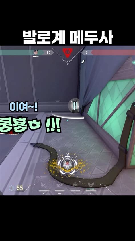 발도밍 B 가야겠지 애덜아ㅋ Player 태종 티어 레디언트 감도 1000dpi 0 7 조준선