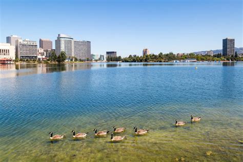 The 15 Best Things To Do In Oakland California Wandering Wheatleys