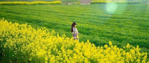 “娶妻不娶颧骨高，嫁汉不嫁连眉梢”，老祖宗这句古话有道理吗？女人男人面相