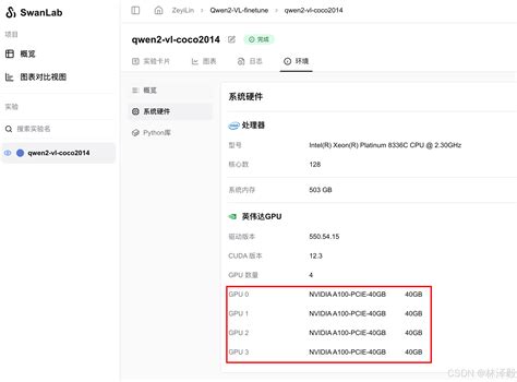 Qwen2 VL 2B模型微调实战 COCO2014数据集 SwanLab可视化记录 CSDN博客