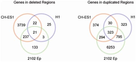 A Deleted Regions B Duplicated Regions Download Scientific Diagram