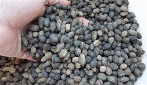 1kg Goat Dung Manure Granules 100 Naturale Fertilizer Complete