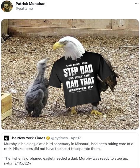 Im Not The Step Dad Im The Dad That Stepped Up Image Gallery Know