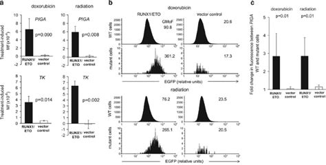 The Leukemia Associated Runx1eto Oncoprotein Confers A Mutator