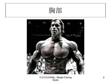 肌肉训练图解by Weight Training Guide课件 文档之家