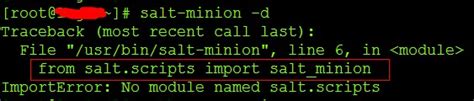 salt minion启动报错 no module named salt scripts mandm