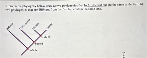 Solved Given The Phylogeny Below Draw A Two Phylogenies Chegg