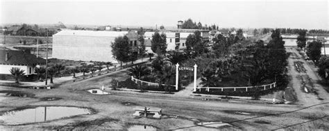 Matthew Goosev What Does Your Daily Routine Look Like Productive Wake Up Coffee Quiet Time