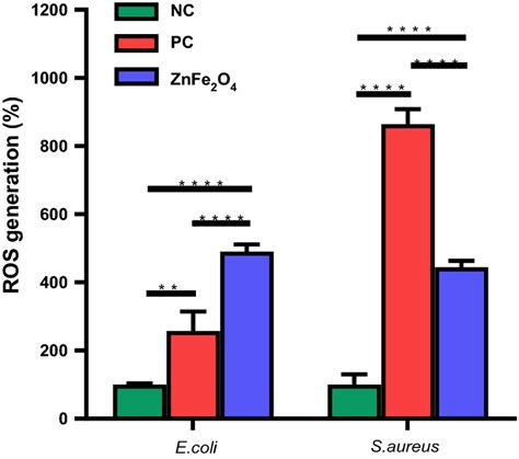 Reactive Oxygen Species Ros Assay Intracellular Ros Production After Download Scientific