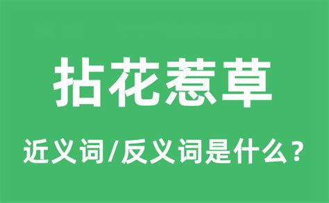 拈花惹草的近义词和反义词是什么拈花惹草是什么意思学习力