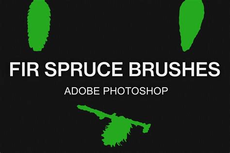 Adobe Photoshop Fir And Spruce Cone Brush Set