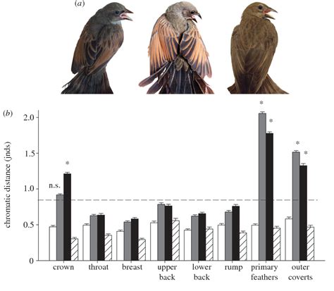 Figure 1 From Hostparasite Coevolution Beyond The Nestling Stage
