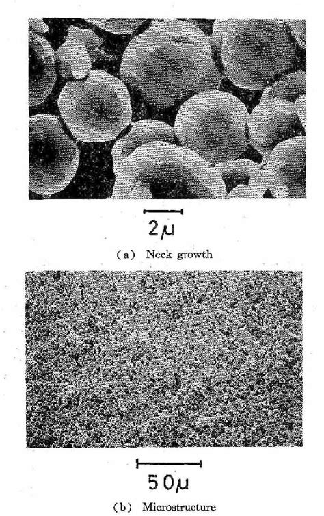 Figure 3 From Initial Sintering Kinetics Of Compacts Of Spherical Alumina Particles Semantic