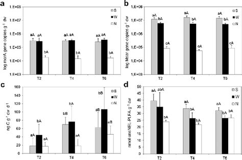Key Indicators Of The Methanogenic And Anaerobic Microbial Communities Download Scientific