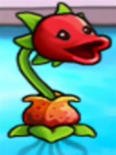 Plants Vs Zombies Rose Thornshooter By Wowchicogoblushrooms On Deviantart
