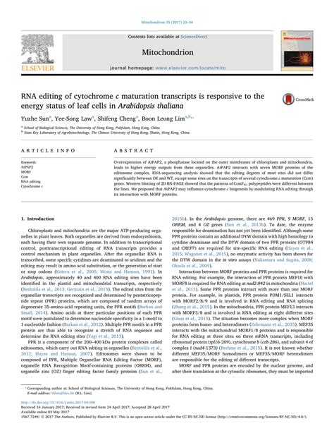 Pdf Rna Editing Of Cytochrome C Maturation Transcripts Is Responsive To The Energy Status Of