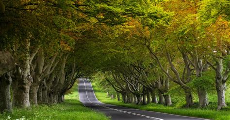 Tublian Open Source Internship A Path To Software Development Mastery