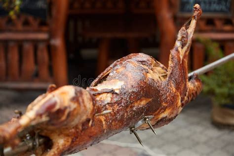 Rabbit On A Spit On The Grill Roasts Stock Photo Image Of Grilling Grilled