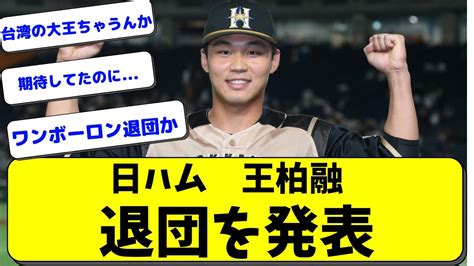 【日ハム、ワンボーロンが退団】王柏融選手の退団が発表【北海道日本ハムファイターズ】 Youtube