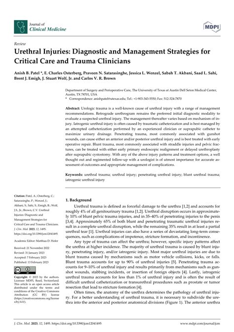Pdf Urethral Injuries Diagnostic And Management Strategies For