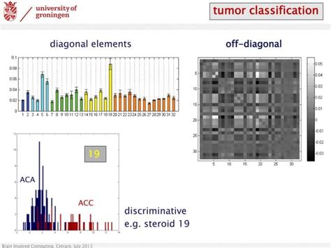 2013 Prototype Based Learning And Adaptive Distances For