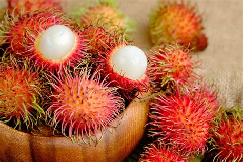 All About The Rambutan Fruit Hospitality Magazine