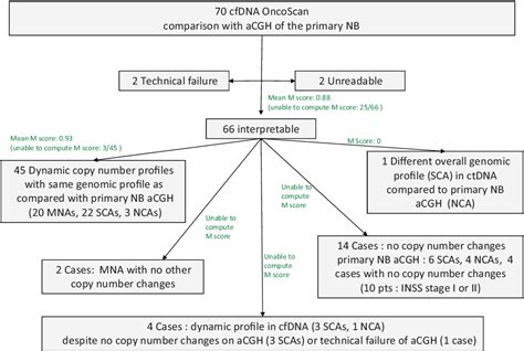 Figure 2 From Genomic Copy Number Profiling Using Circulating Free Tumor Dna Highlights
