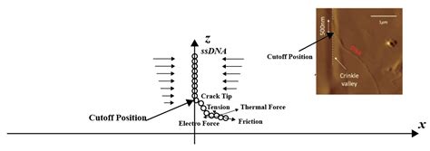 Siyuan Song « Personal Website