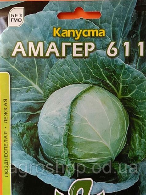 Капуста Зимняя Лежкая Описание Сорта Фото — Фото