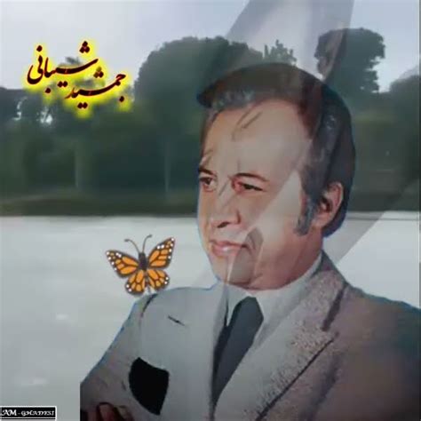 جمشیدشیبانی سیمین بری گل پیکری آری Youtube