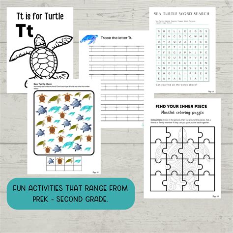 Sea Turtle Unit Study Mini Sea Turtle Unit Study Homeschool Science
