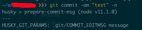 can not get no verify arguments from husky git params · issue 515