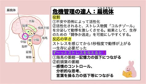 🥕【脳科学を子育てに応用】後編『運動』×『扁桃体』｜ウサギが作る超特化型子育てブログ