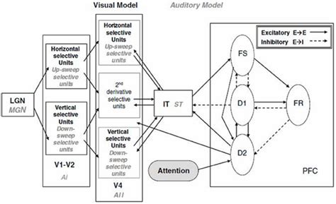 Large Scale Neural Network Models Of The Visual And Auditory Object