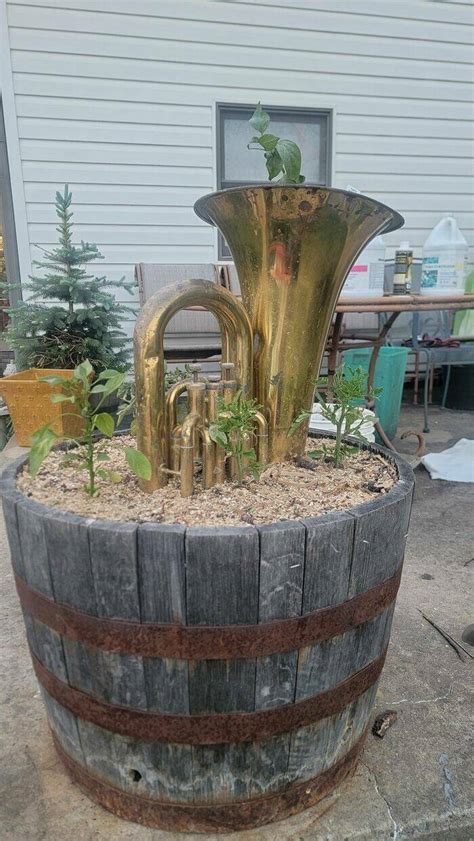 Bizarre Encounters Musical Instruments In Unusual Scenarios 45 Pics