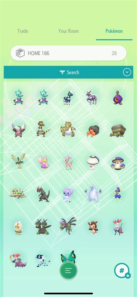 Lf All Shiny Female Torchic Large Gourgeist Scorbunny Gossifluer