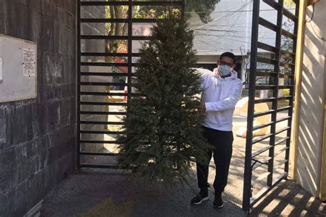 Reciclaje Navideño CDMX Centros de Acopio para llevar tu árbol de