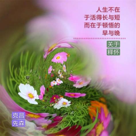 释怀的图片 唯美 看淡了图片善待自己 伤感说说吧
