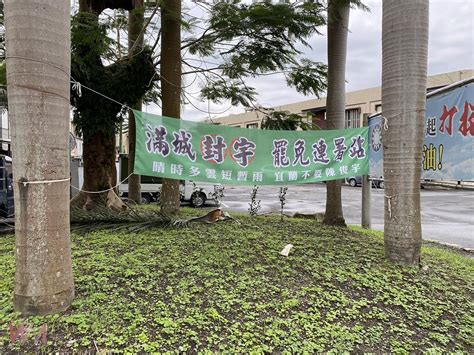罷免陳俊宇第一階段達標 國民黨：傾全力拚二階