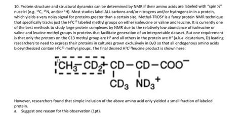 Solved 10 Protein Structure And Structural Dynamics Can Be