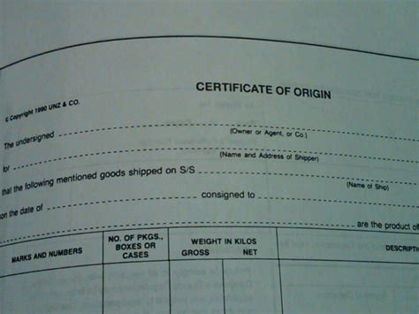 Basic Export Shipping Documentation You Will Need