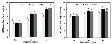 Interactive Effect Of Foliar Supplementation Of Selenium Se And