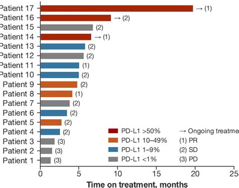 swimmer plot of treatment outcomes in patients evaluated for pd l1