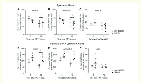 Tac Decreased Cardiac Mitochondrial Oxidative Capacity But Fao