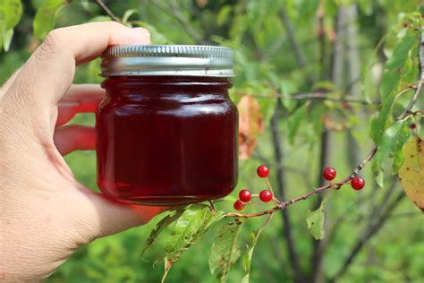 Pin Cherry Jelly Creative Canning