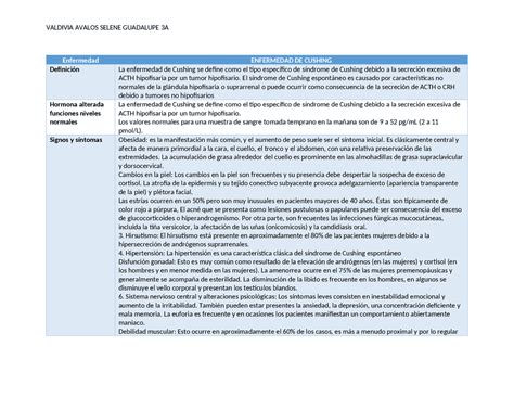 Resumen De Temas Endocrinologia Esquemas Y Mapas Conceptuales De