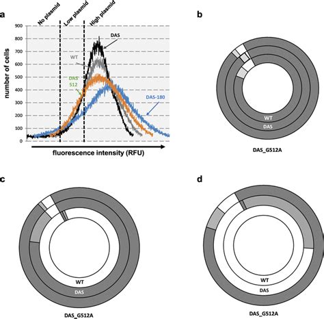 Plasmid Copy Number Distribution And Plasmid Retention By Flow Download Scientific Diagram