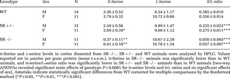 Levels Of D Serine And L Serine In Cortex Download Table
