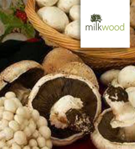 Mushrooms Button 250g Greenboxorders